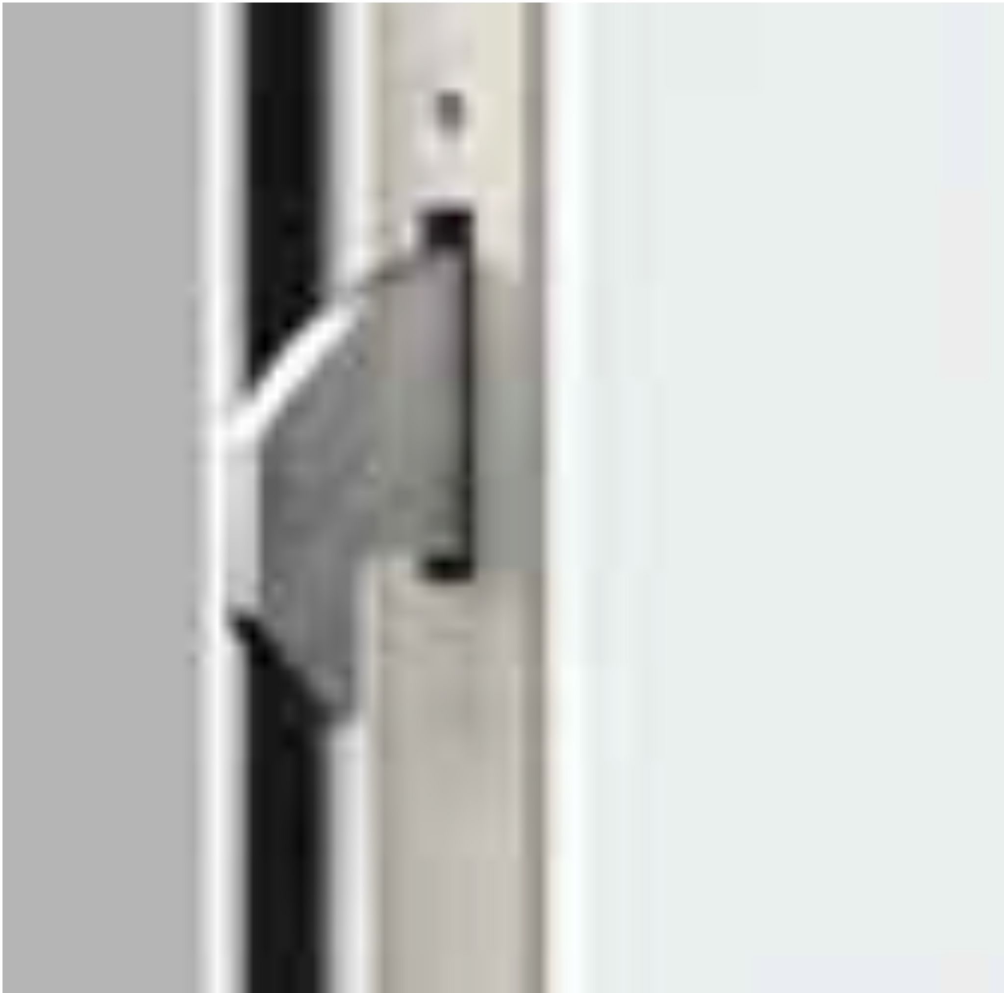Storm Door Guy | Larson Platinum Rollscreen